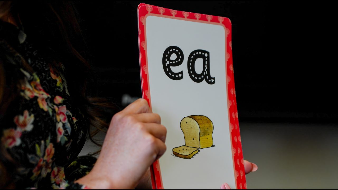 Curriculum | Red Rose Primary School